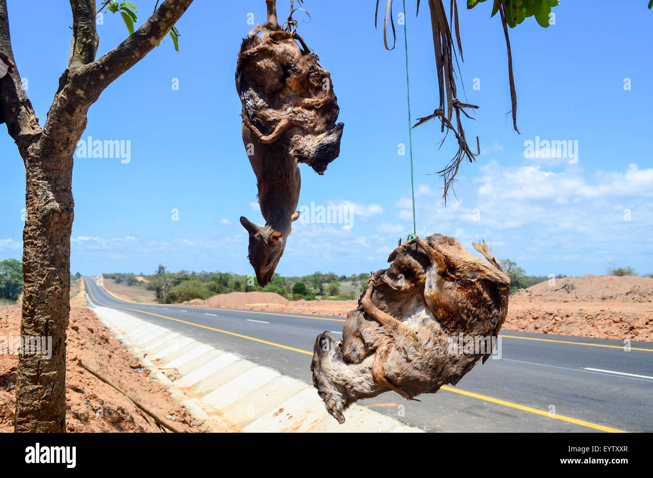 Tar Road High Resolution Stock Photography and Images - Alamy