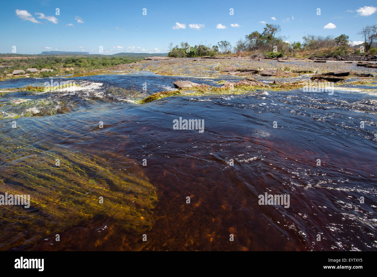 Beautiful Waterfall in the Canaima Lagoon, Canaima National Park ...