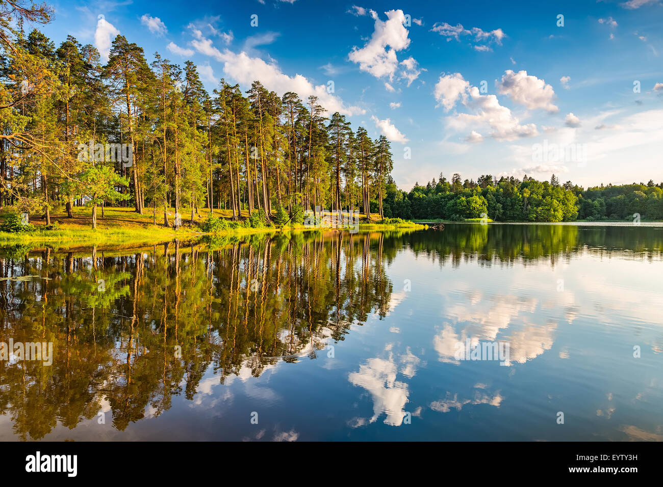 Beautiful sunset on forest lake Stock Photo - Alamy