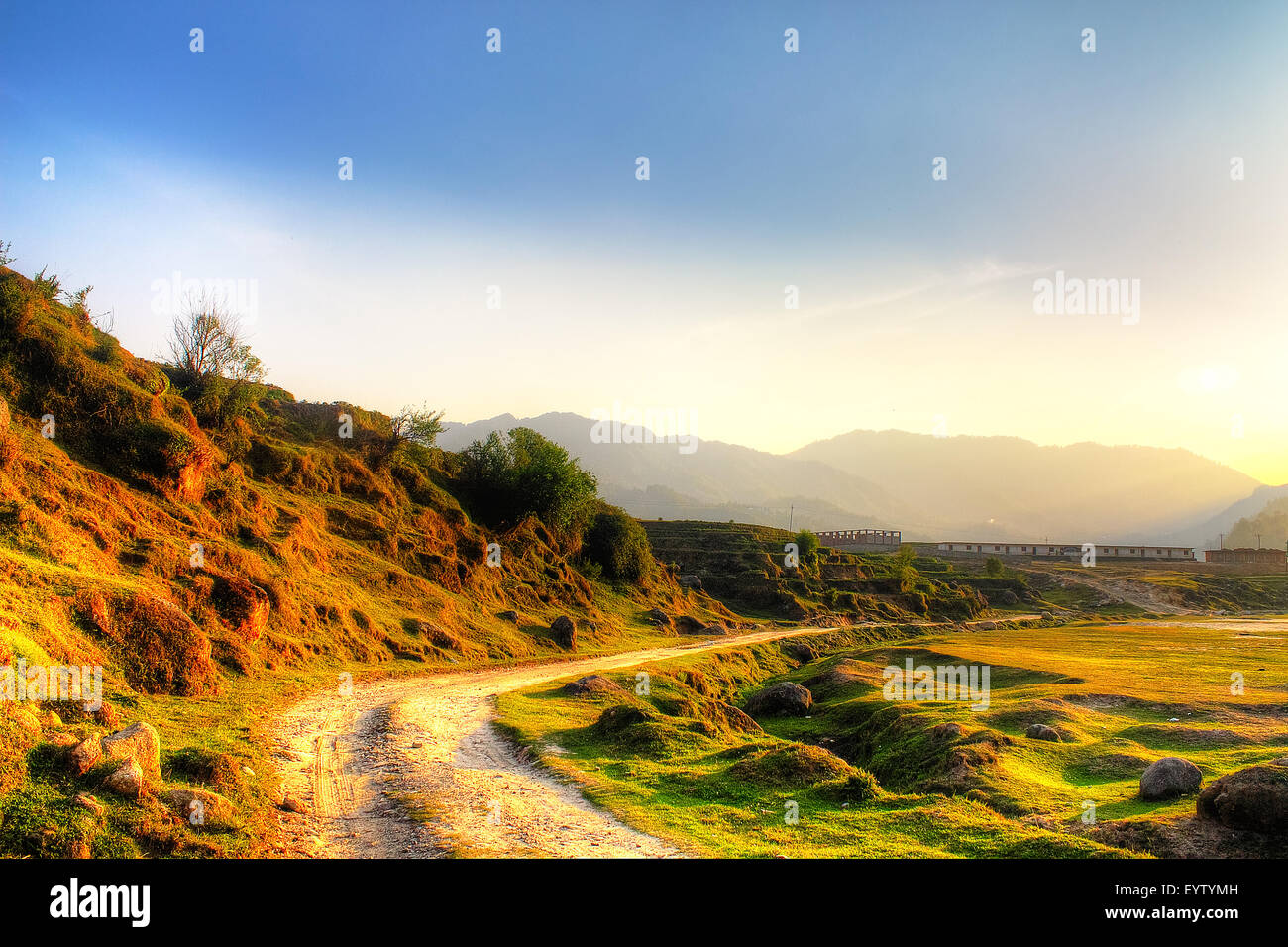 Pathway. beautiful trodden path lit by the sunset light Stock Photo - Alamy