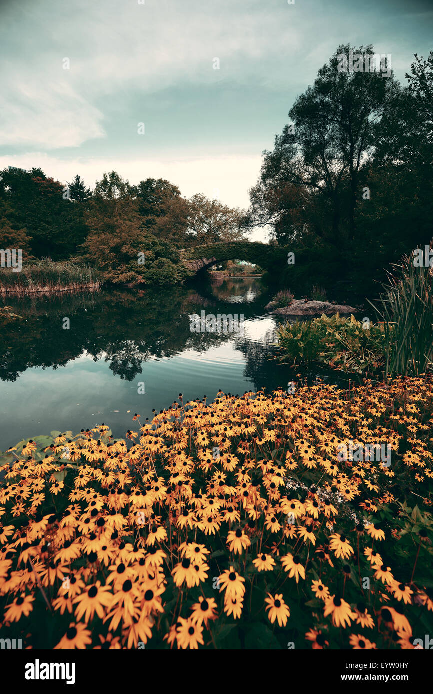 Spring central park flower hi-res stock photography and images - Alamy