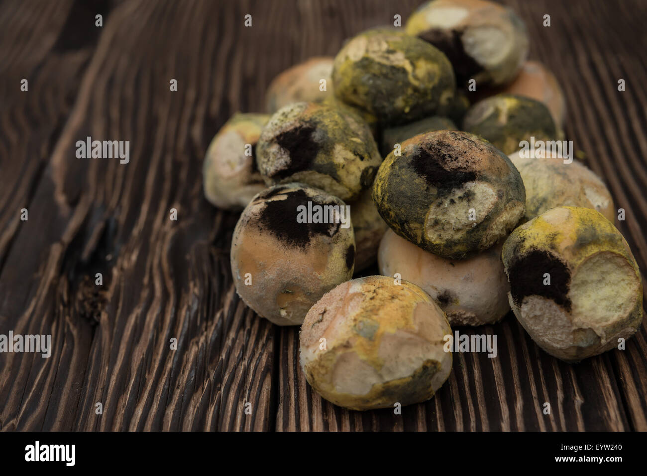 Mold mouldy bacterium poisonous hi-res stock photography and images - Alamy