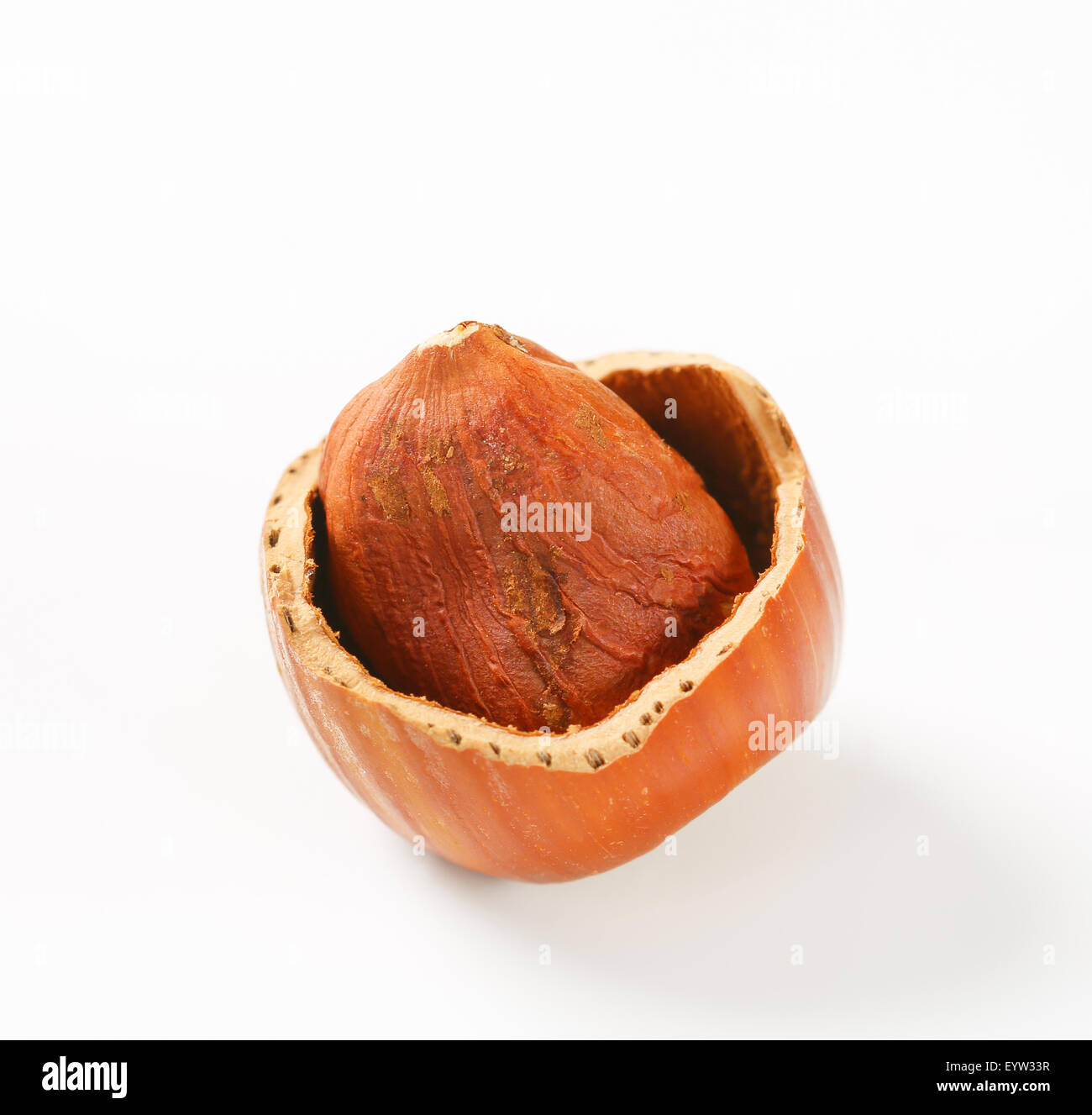 Nutshell hi-res stock photography and images - Alamy