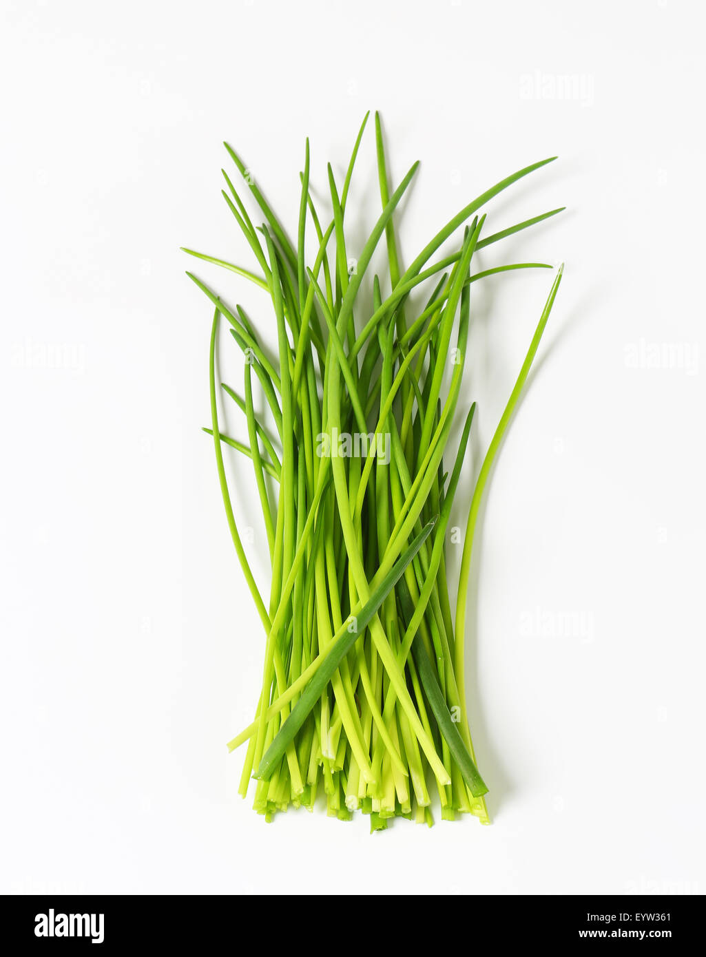 Fresh chives leaves on white background Stock Photo - Alamy