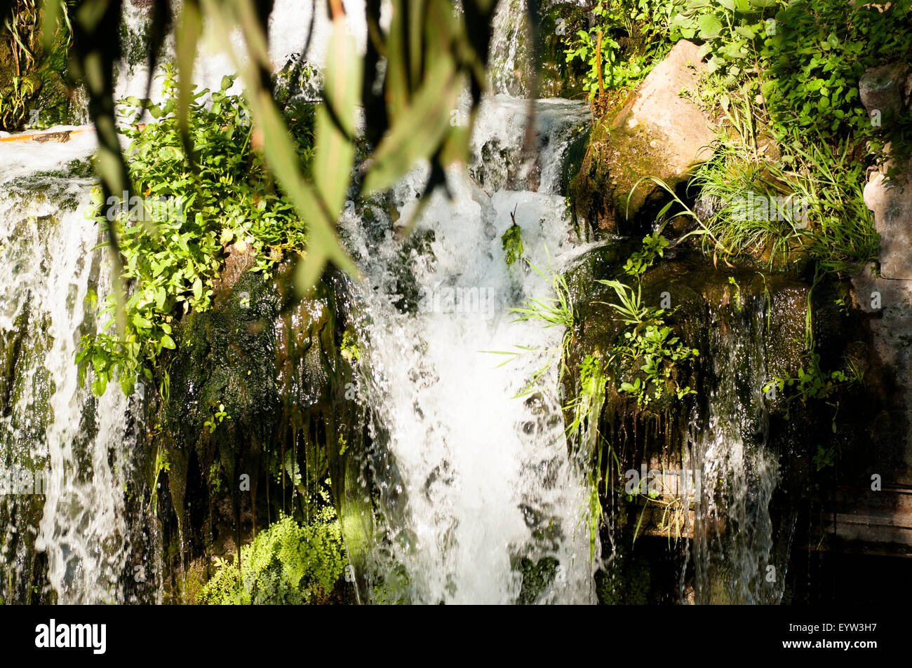 waterfalls in a park Stock Photo - Alamy