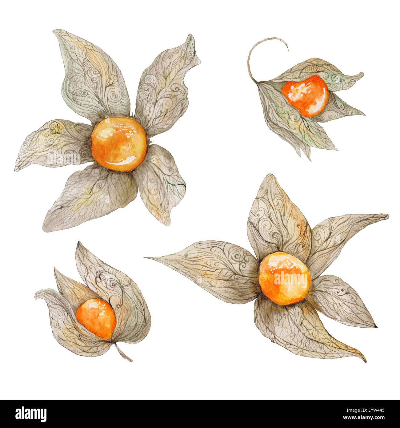 Cafe sweet menu Cut Out Stock Images & Pictures - Alamy