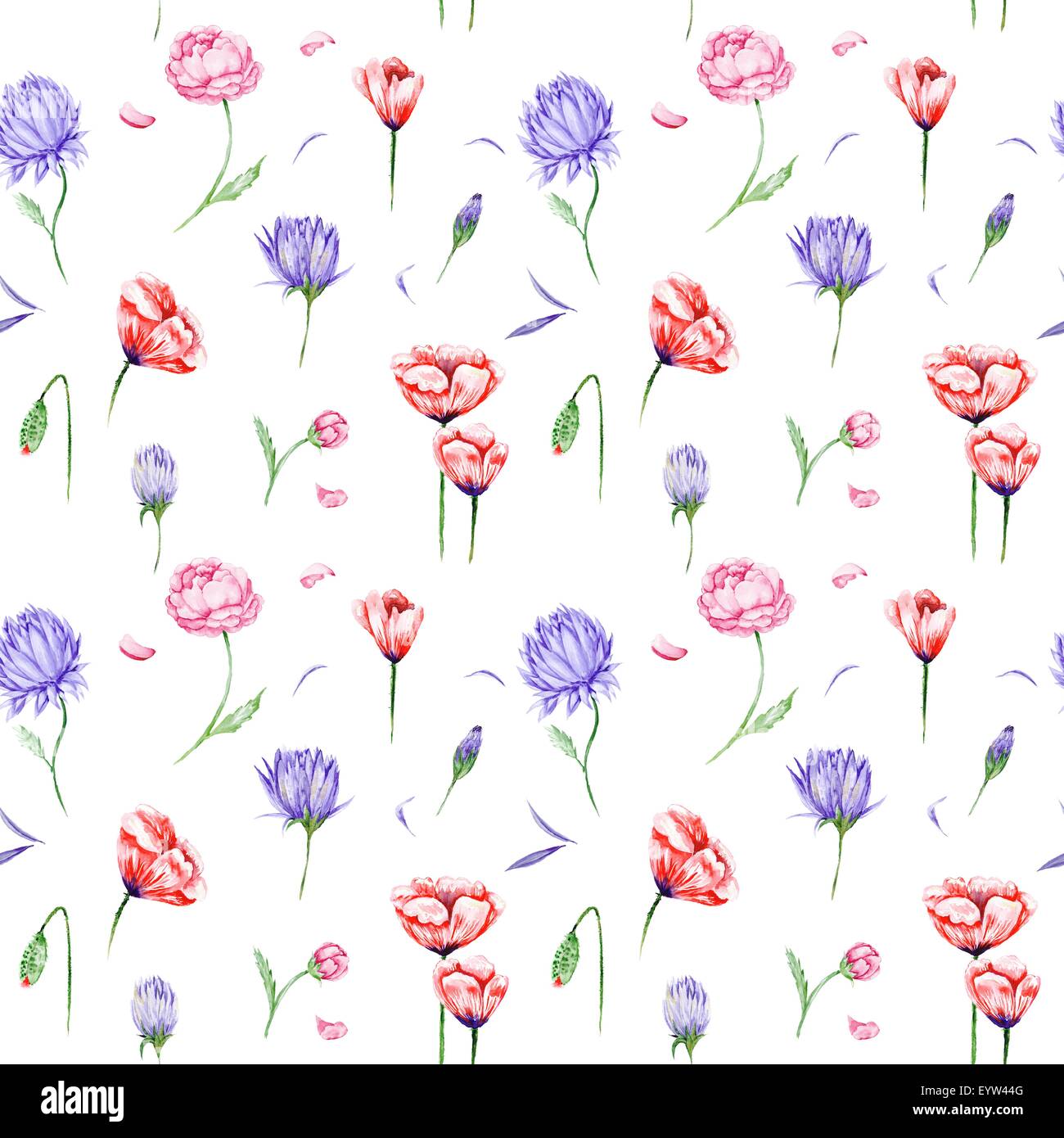 Purple roses in wedding Cut Out Stock Images & Pictures - Alamy