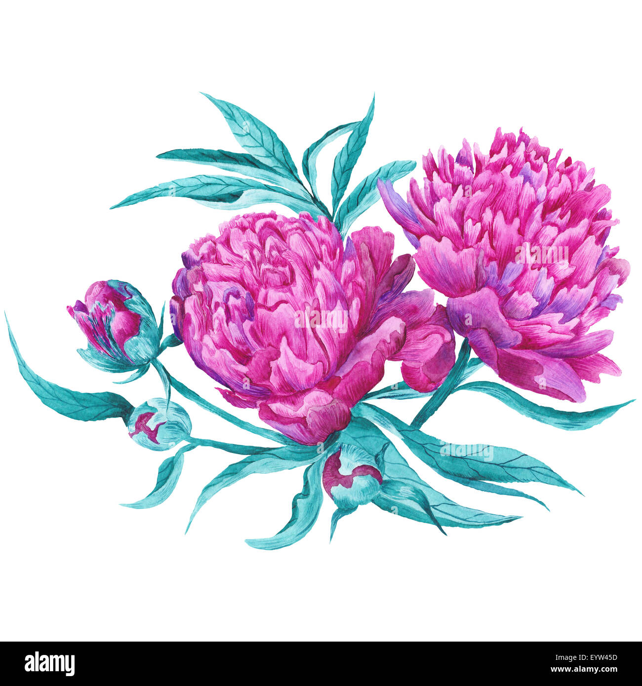 Hand-painted detailed watercolor vignette with blossoming flowers, buds ...