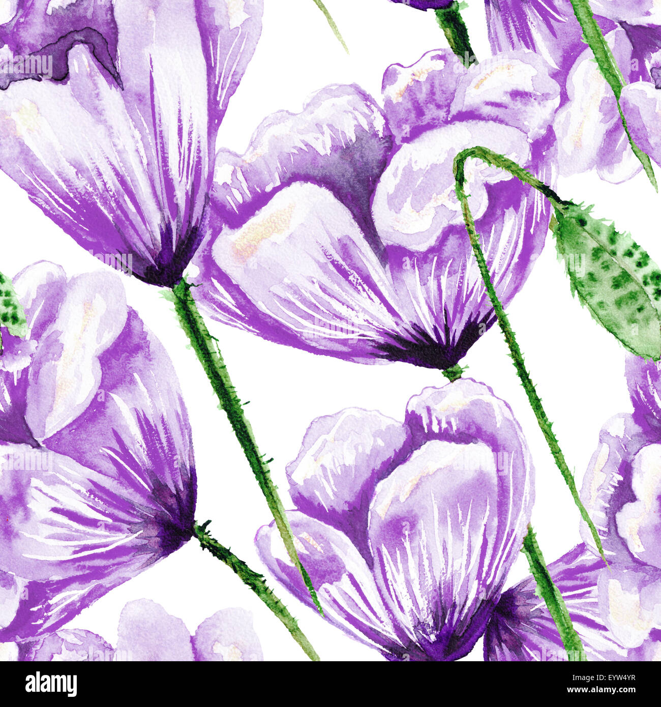 Hand-painted seamless texture with violet flowers on white backgroung ...