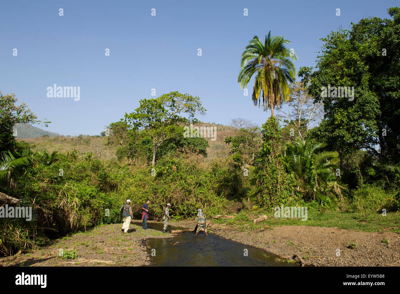 River, Chebera-Churchura National Park, Ethiopia Stock Photo - Alamy
