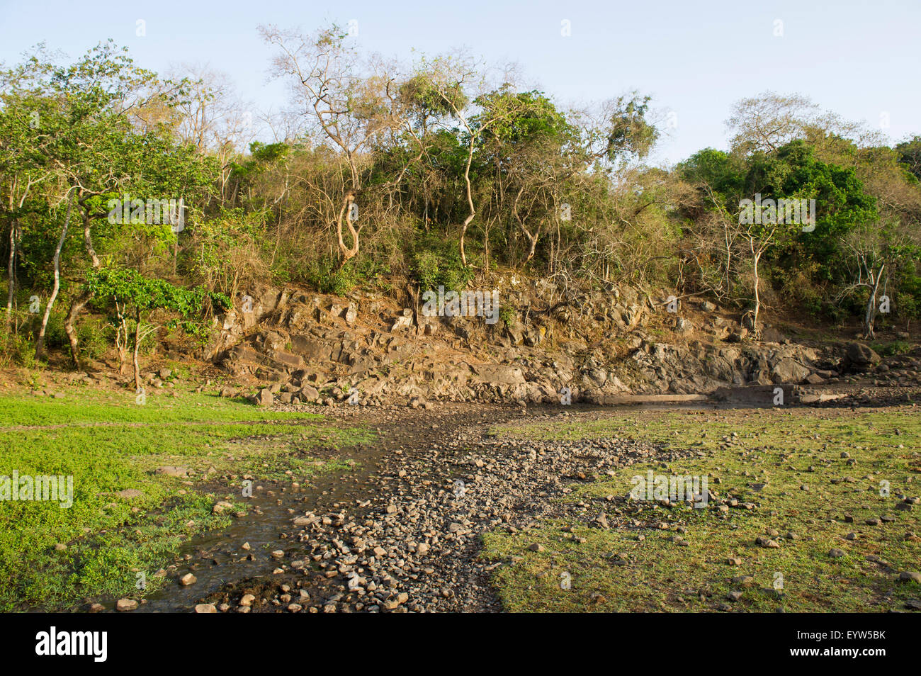 Hot Springs, Chebera-Churchura National Park, Ethiopia Stock Photo - Alamy