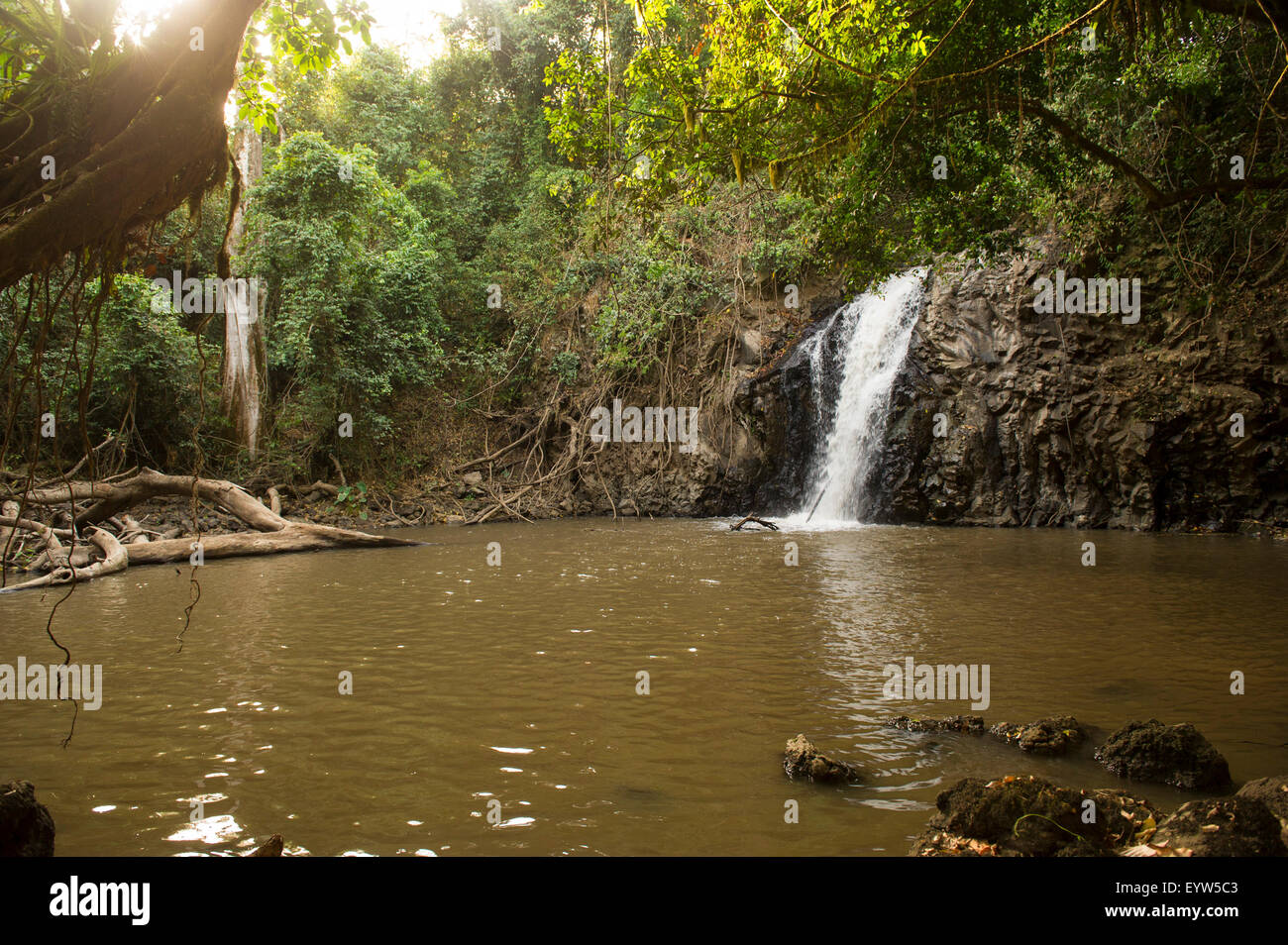Waterfall, Chebera-Churchura National Park, Ethiopia Stock Photo - Alamy