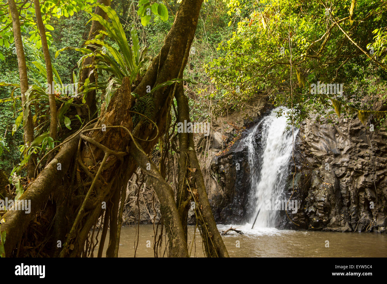 Waterfall, Chebera-Churchura National Park, Ethiopia Stock Photo - Alamy