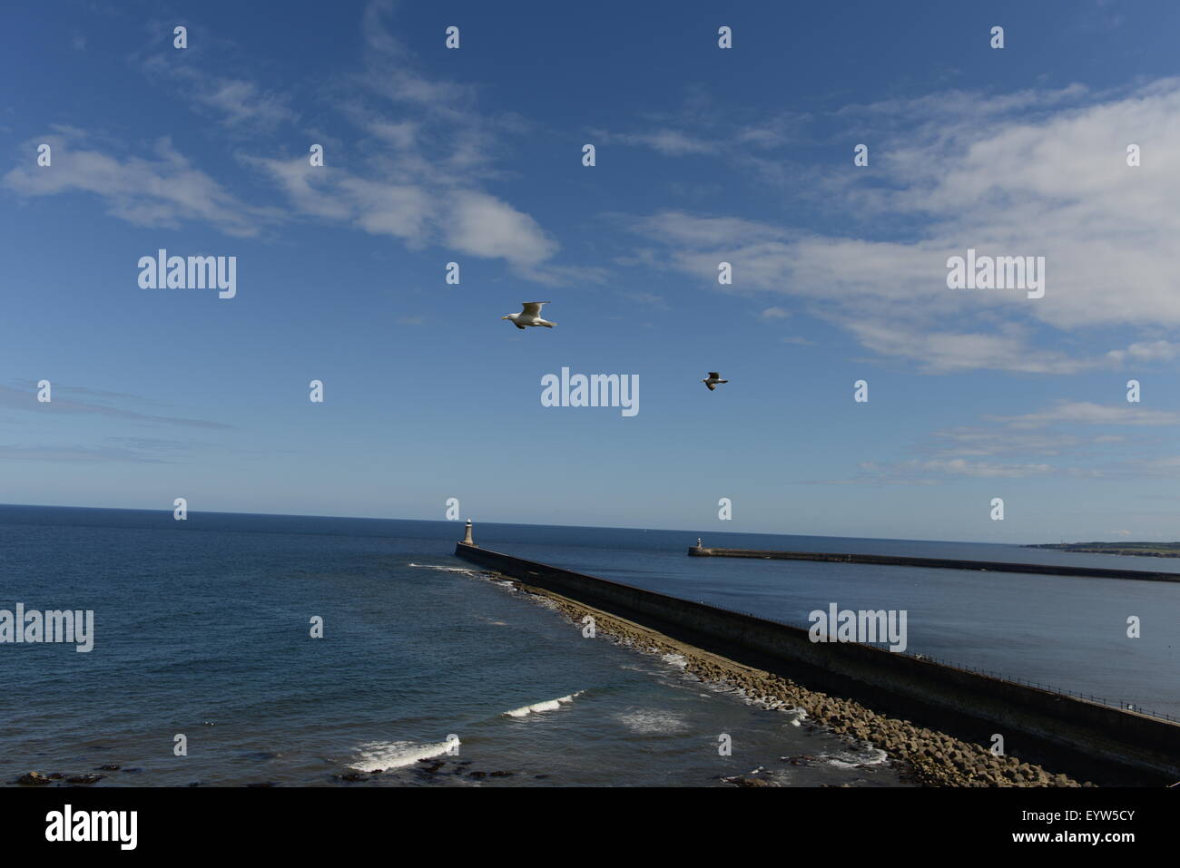 Tynemouth, Northumberland, UK, lighthouse, pier, tynemouth priory and ...