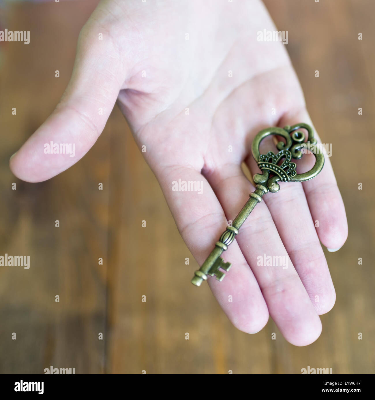 hand with key Stock Photo - Alamy