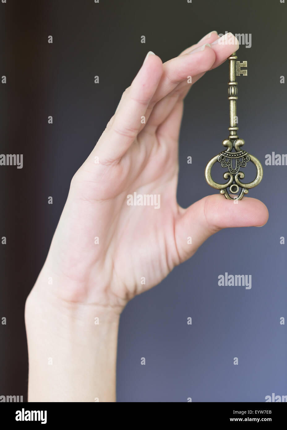 Woman success secret hi-res stock photography and images - Alamy