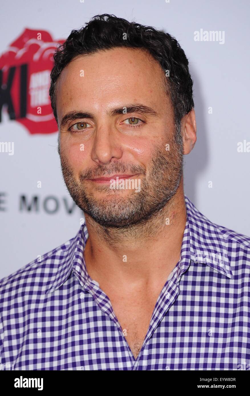 New York, NY, USA. 3rd Aug, 2015. Dominic Fumusa at arrivals for RICKI ...