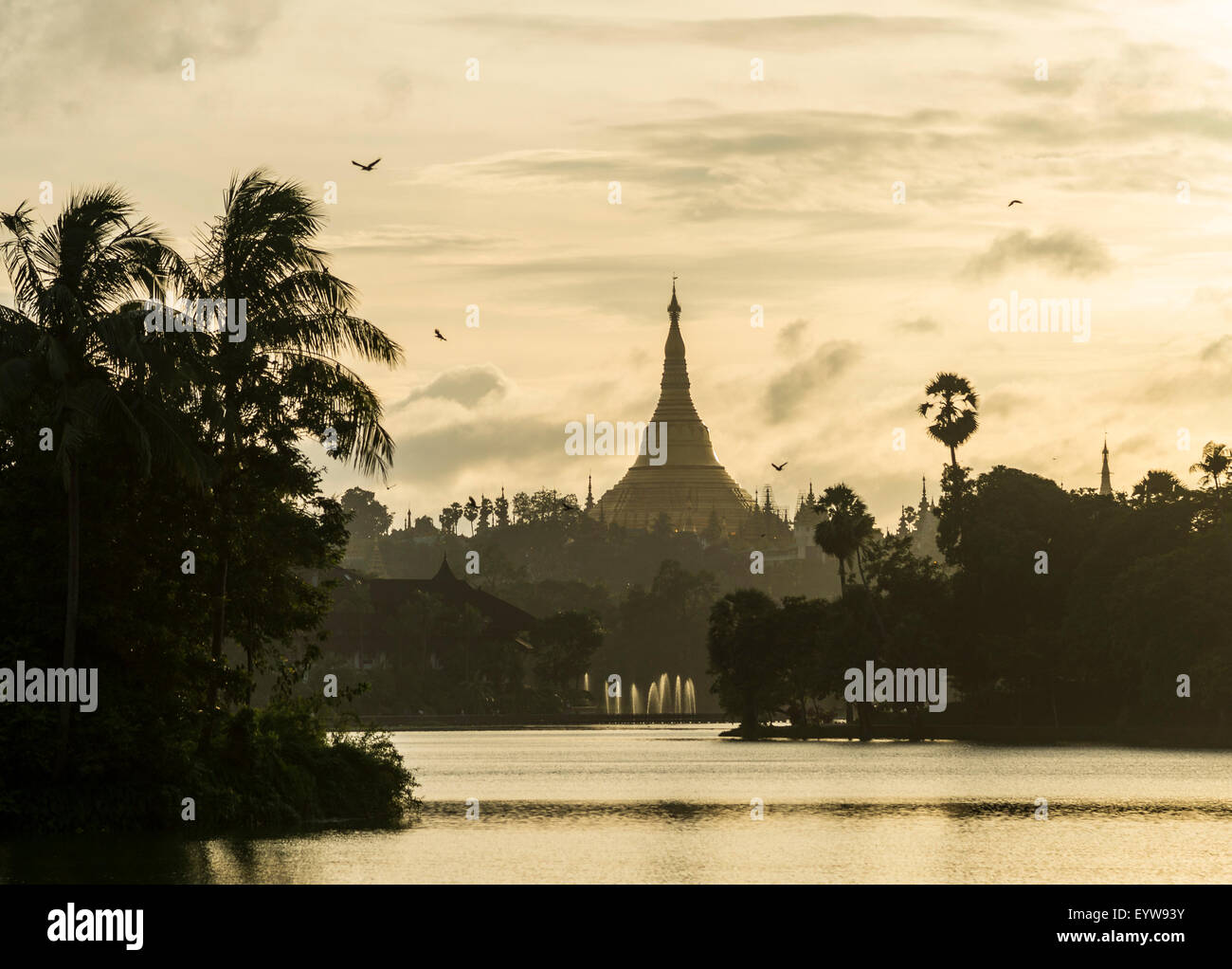 Golden stupa at sunset, chedi, Shwedagon Pagoda, Kandawgyi Lake ...