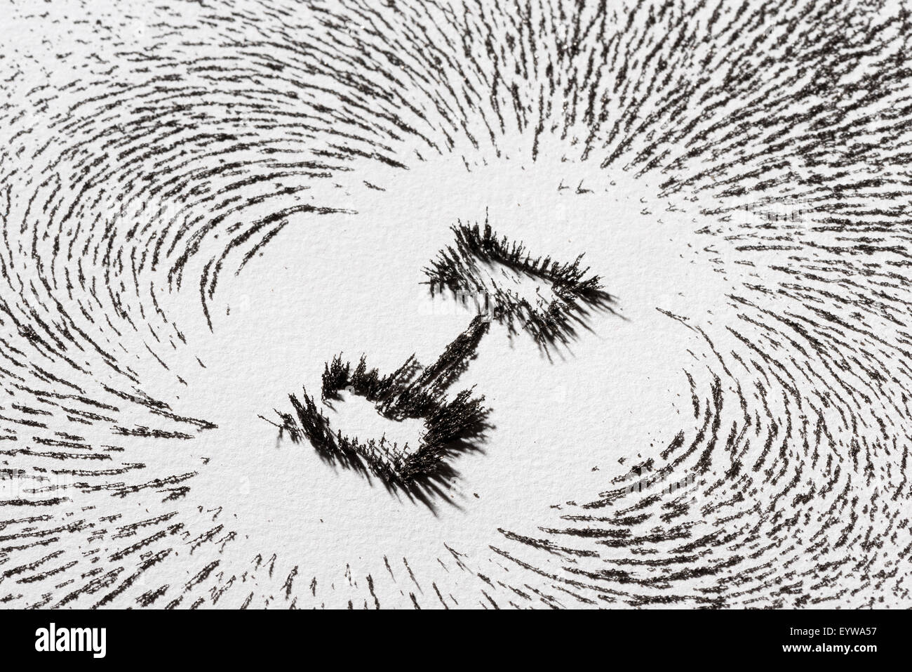 Attraction and repulsion iron metal particles align up along the ...