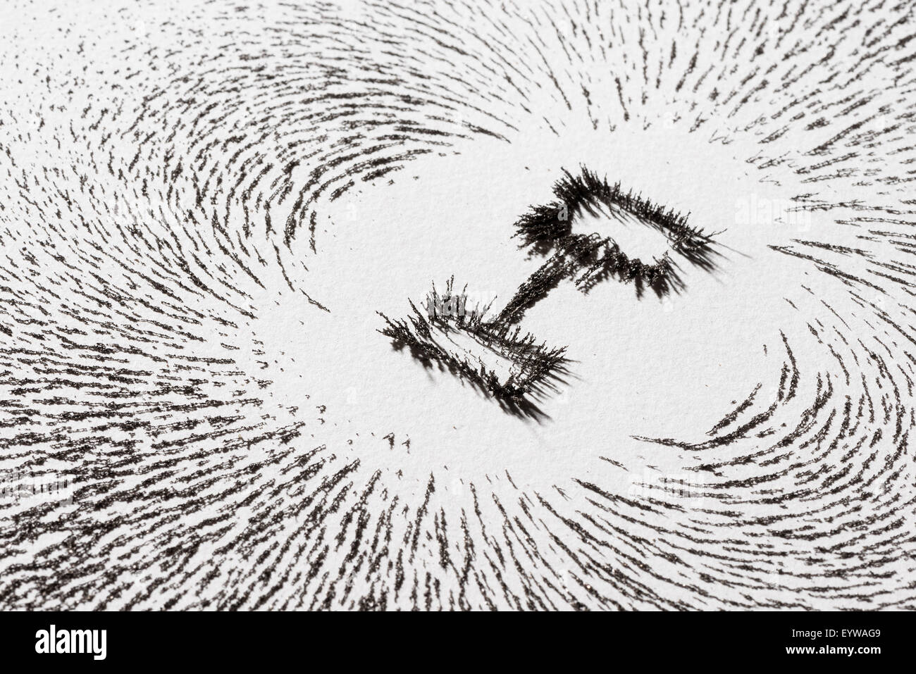 Attraction and repulsion iron metal particles align up along the ...