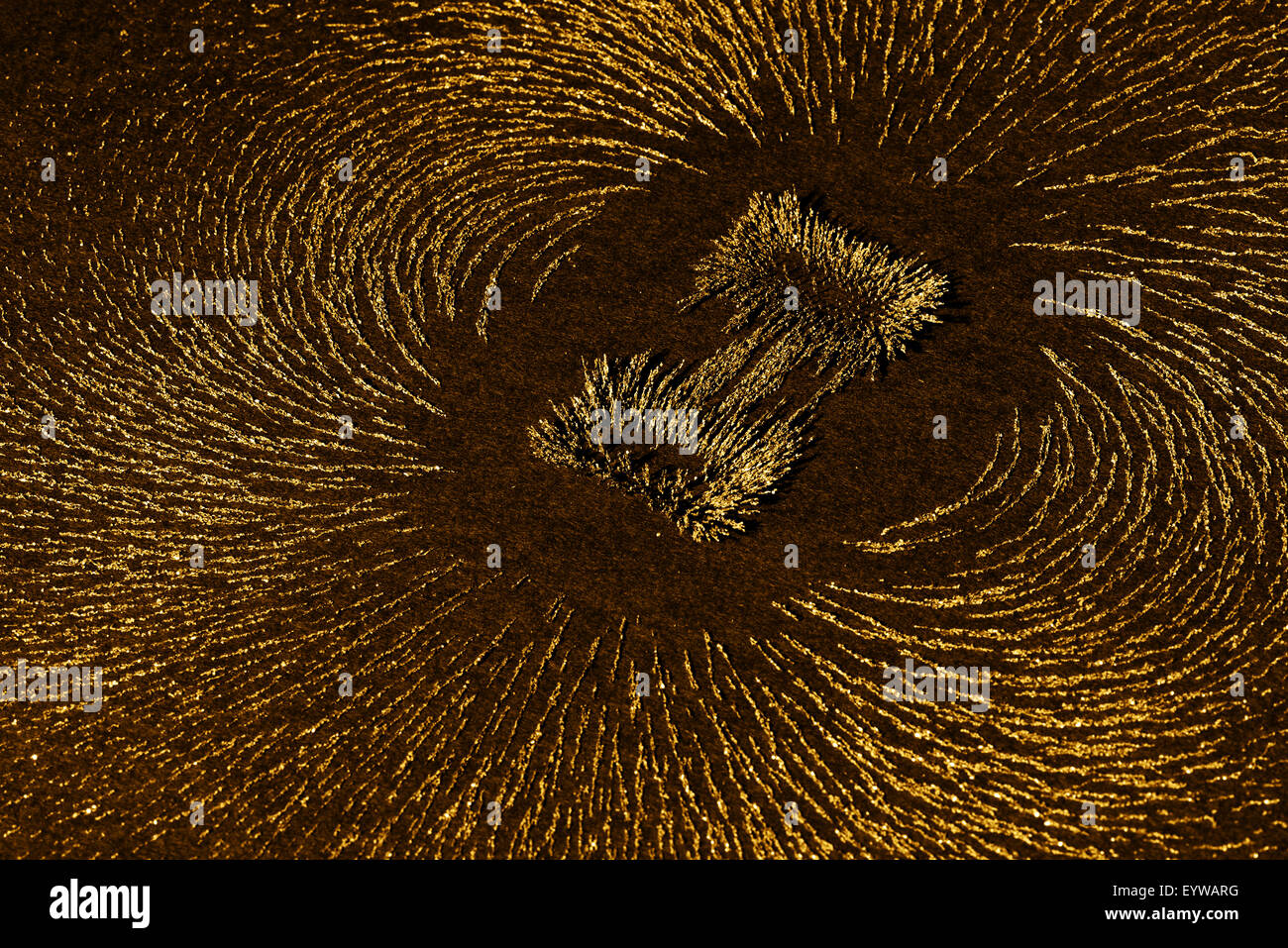 Magnet Iron Filings High Resolution Stock Photography and Images - Alamy