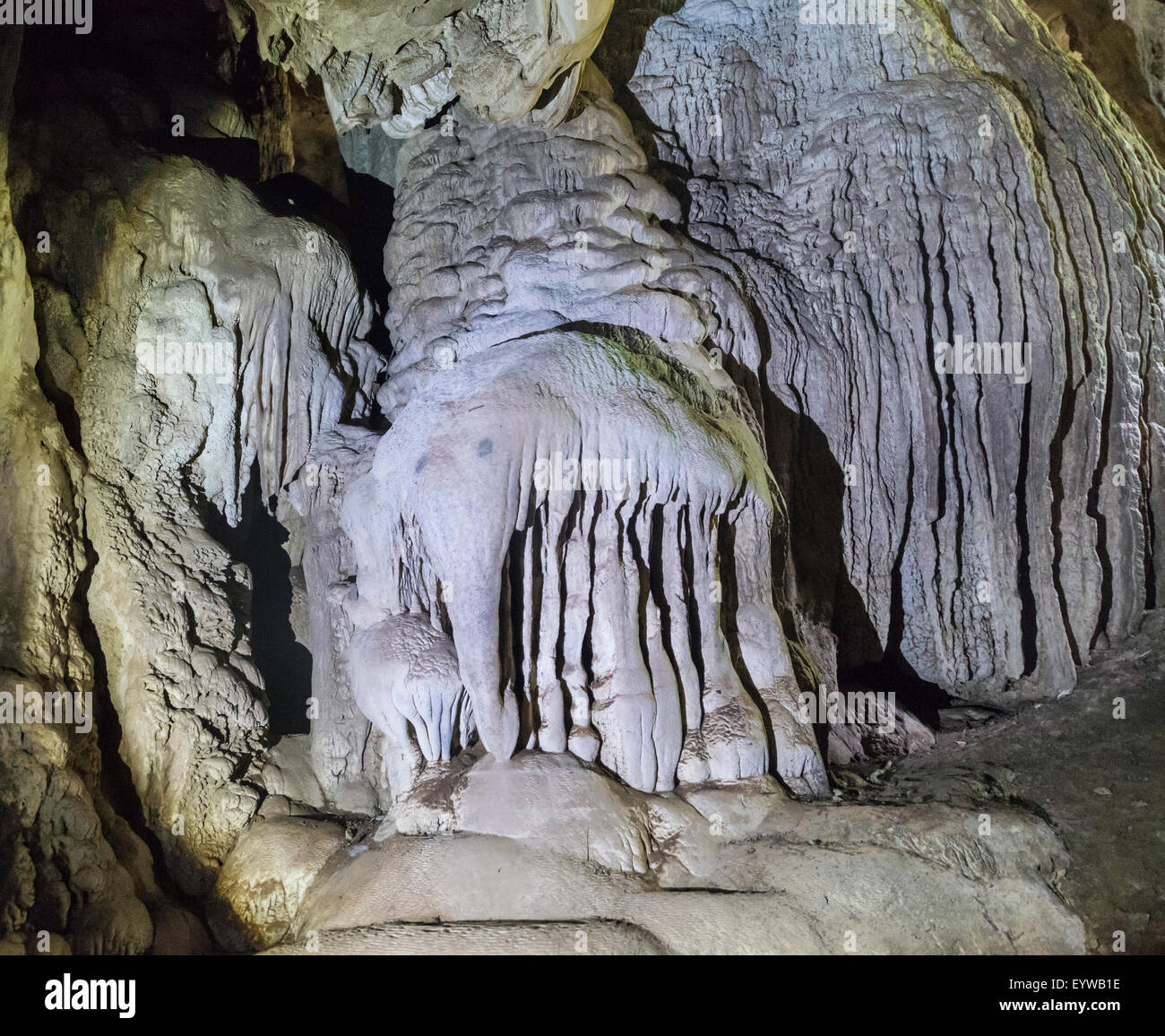 Stalagmite in the shape of an elephant, cave, Elephant Cave, Taman ...