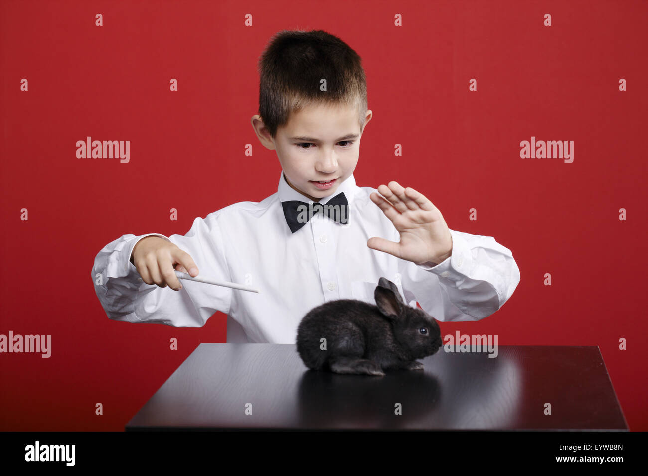 little magician with rabbit Stock Photo - Alamy