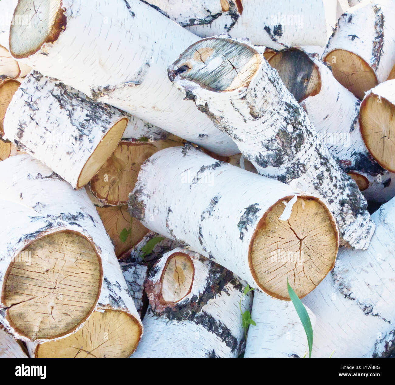 stack of birch firewood Stock Photo - Alamy