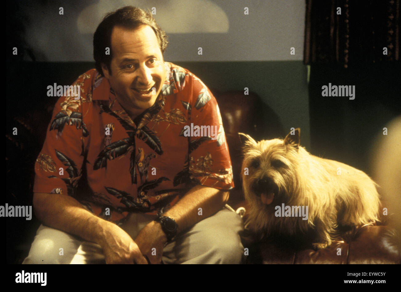 Lost and found dog hi-res stock photography and images - Alamy