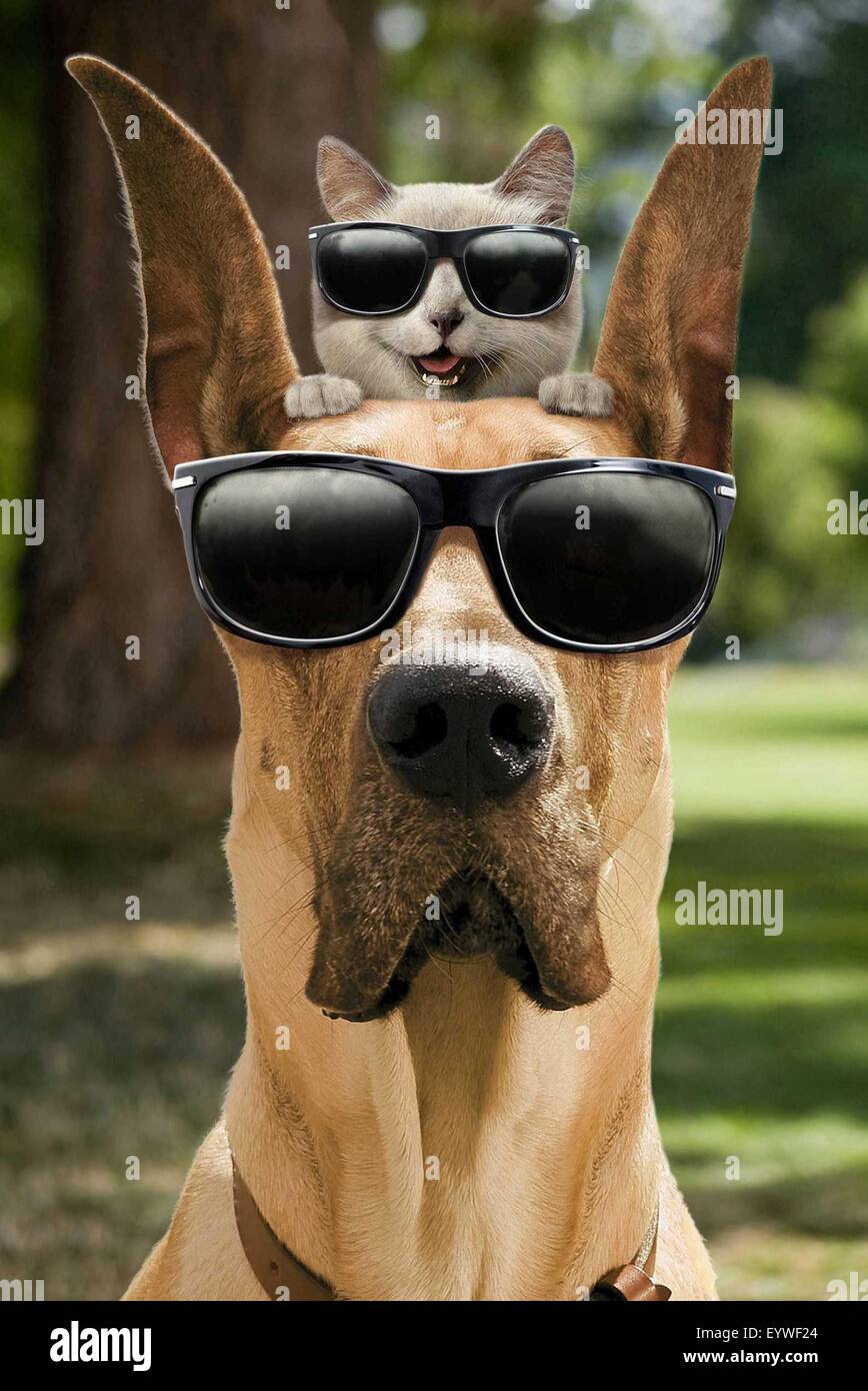 Marmaduke ; Year : 2010 USA ; Director : Tom Dey Stock Photo - Alamy
