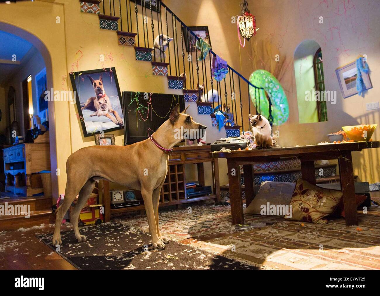 Marmaduke ; Year : 2010 USA ; Director : Tom Dey ; Photo: Joeseph ...