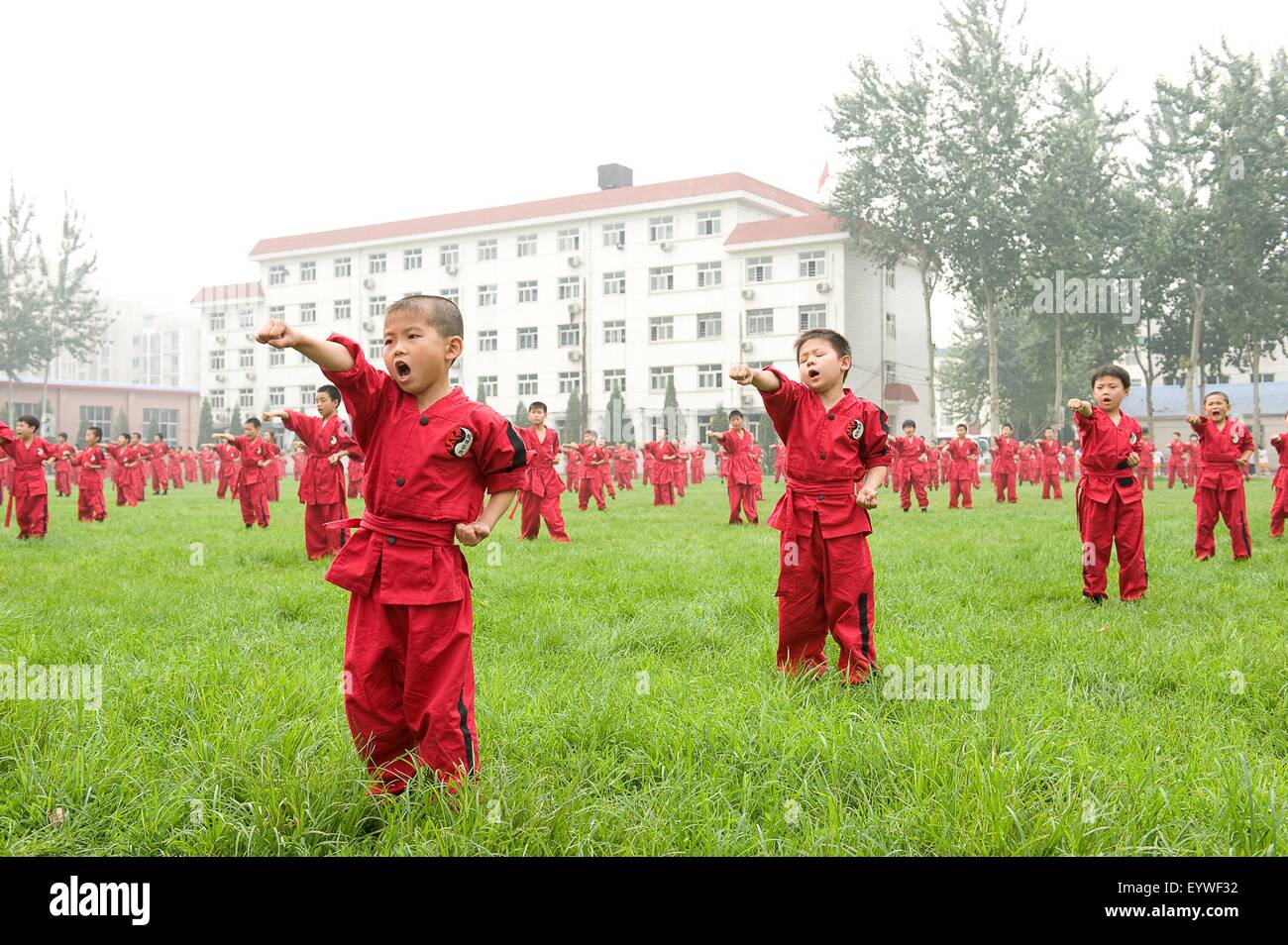 The Karate Kid Stock Photos & The Karate Kid Stock Images - Alamy