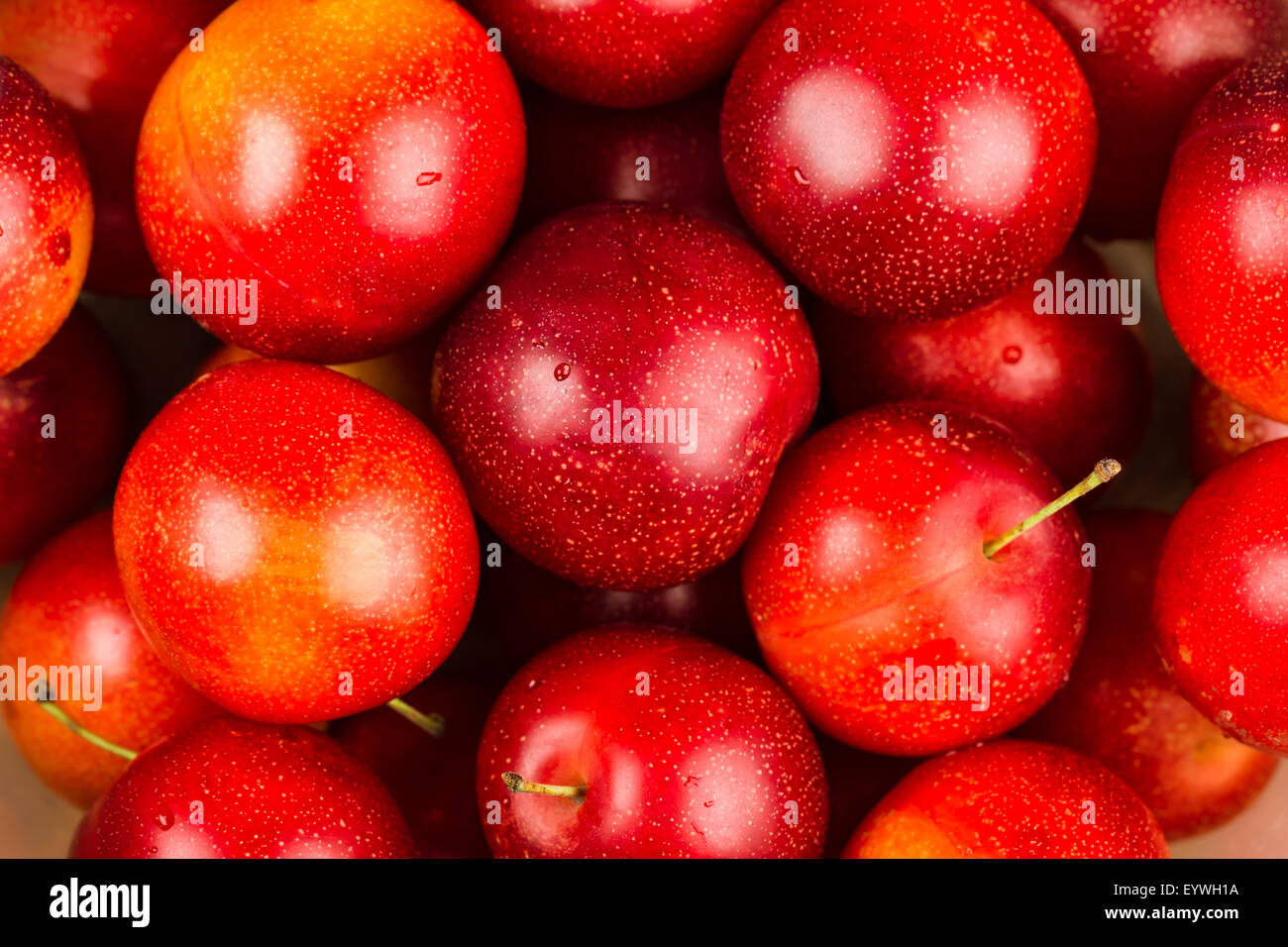 Ripe Plums Background Stock Photo - Alamy