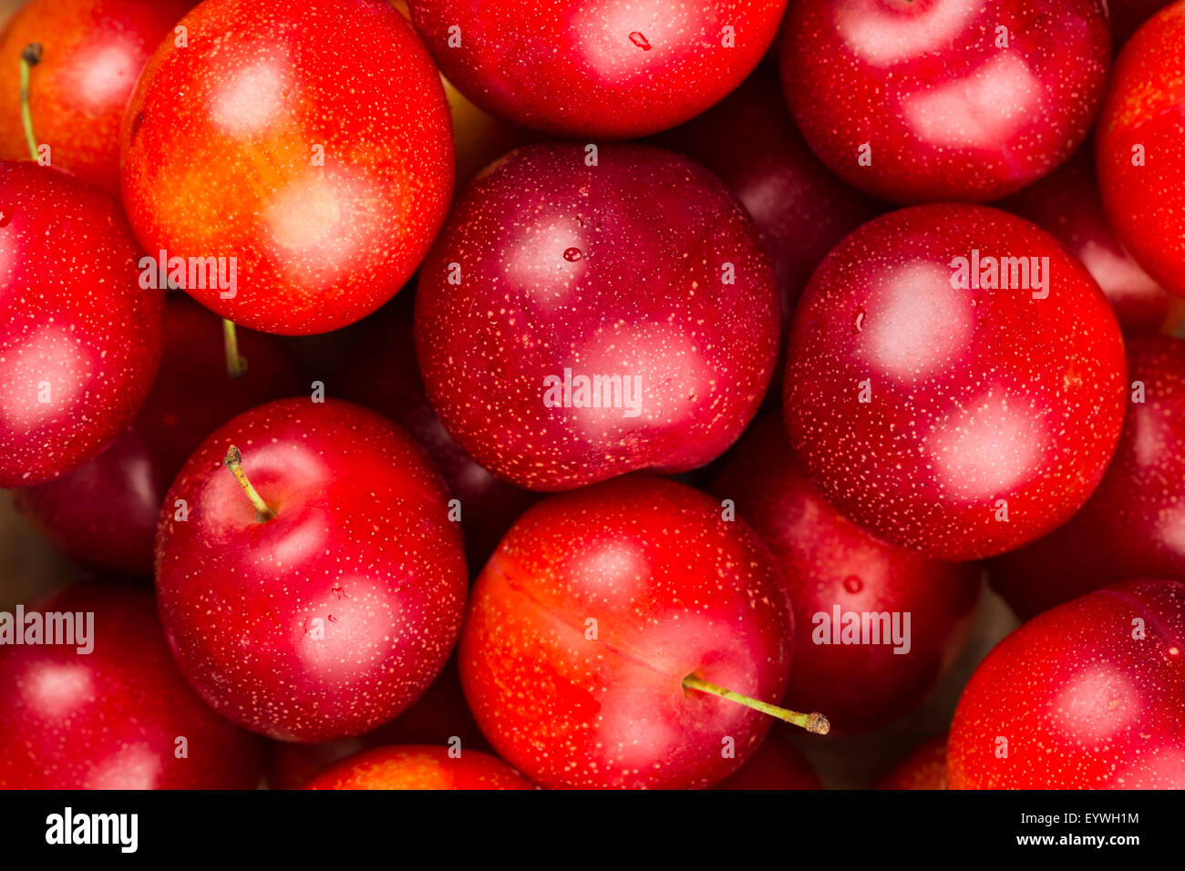 Ripe Plums Background Stock Photo - Alamy