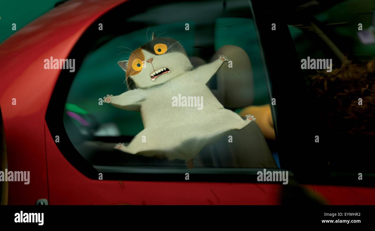 Stuck home hi-res stock photography and images - Alamy