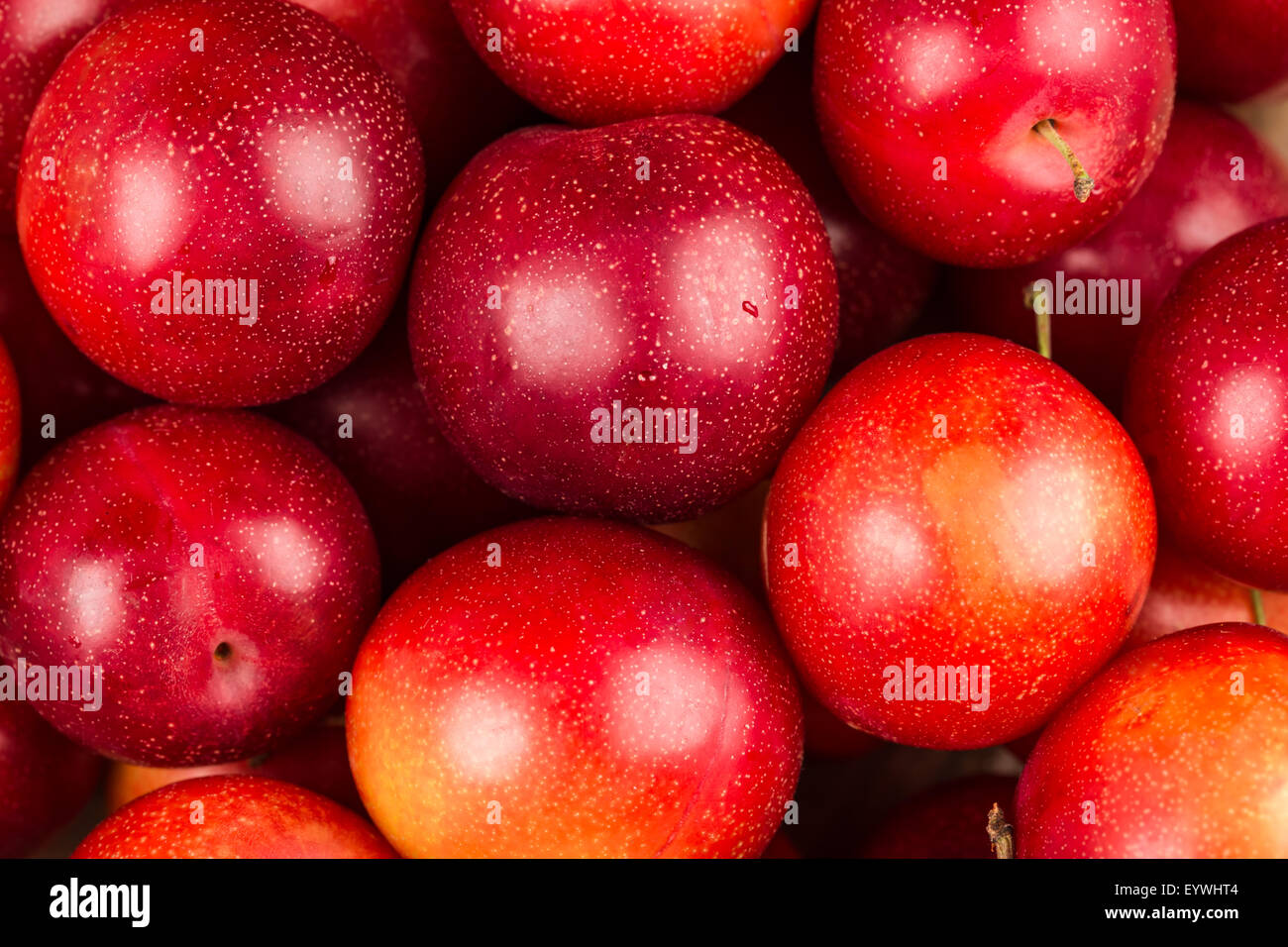 Ripe Plums Background Stock Photo - Alamy
