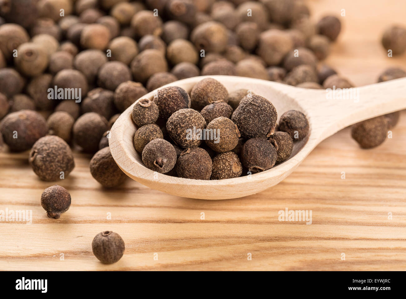 Allspice tree hi-res stock photography and images - Alamy