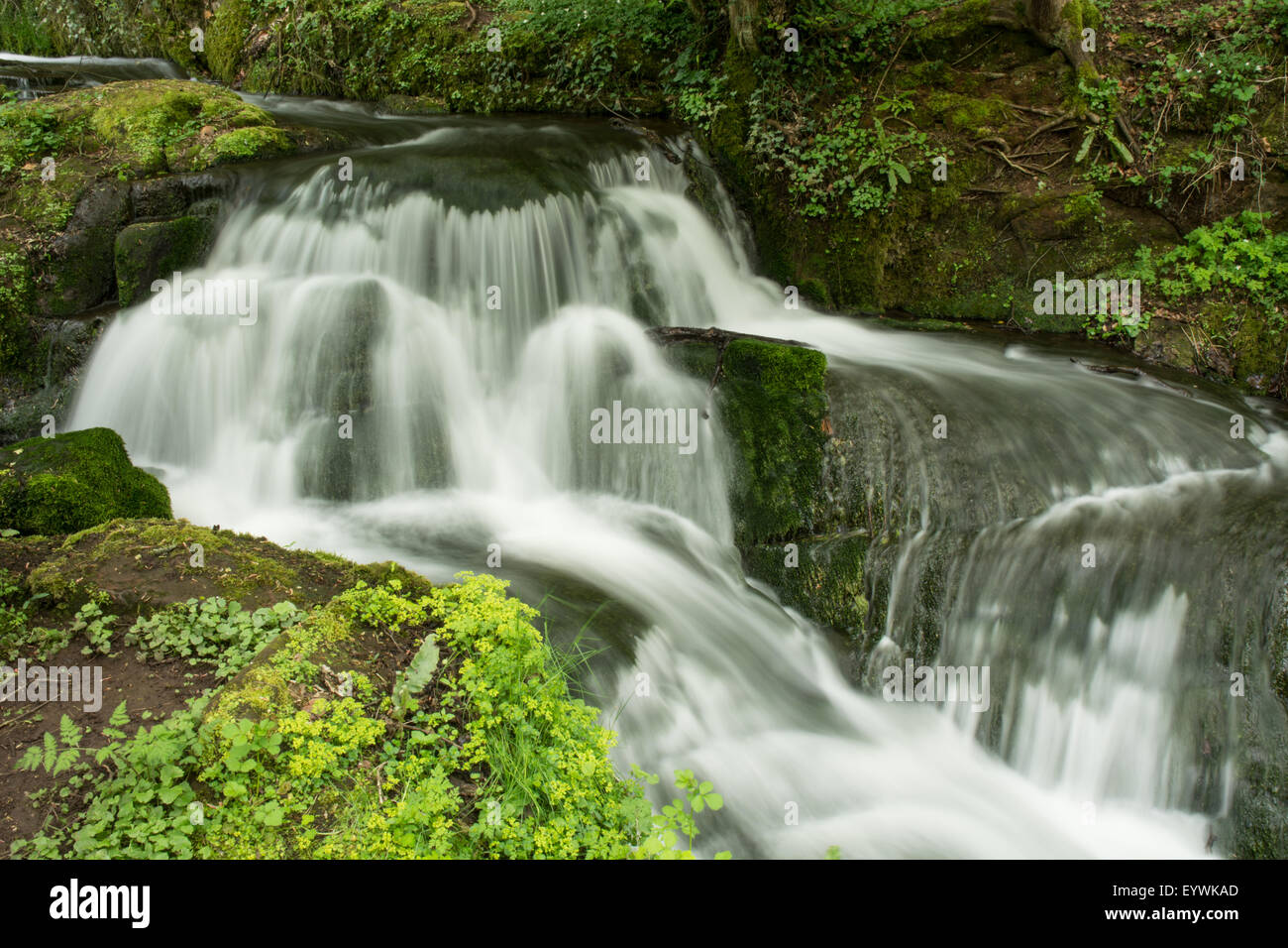 stream flowing over rocks to create rapids Stock Photo - Alamy