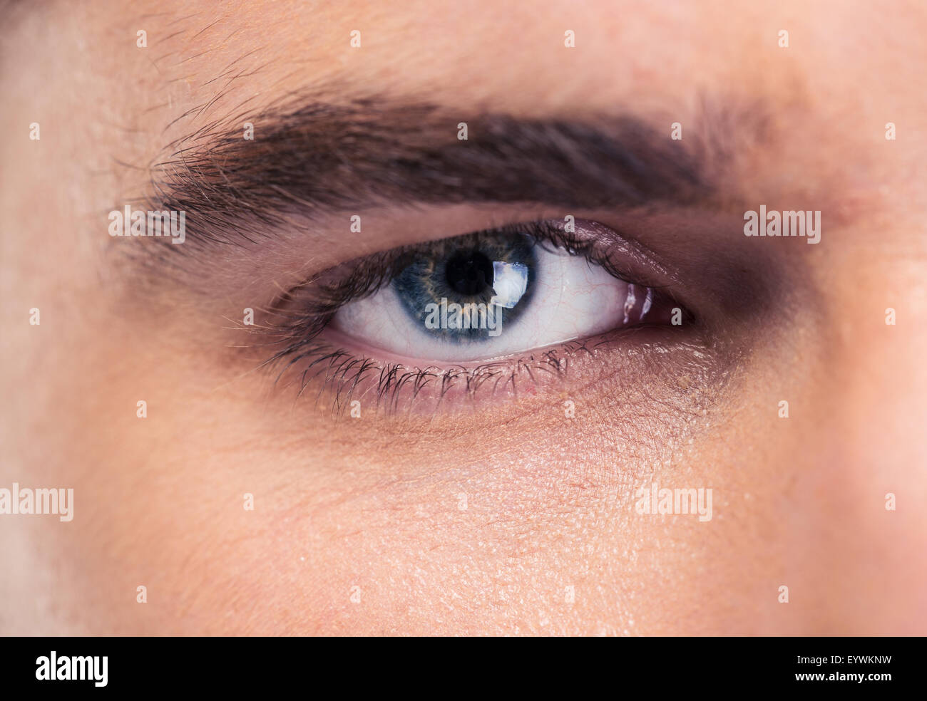 Closeup portrait of male eyes Stock Photo - Alamy