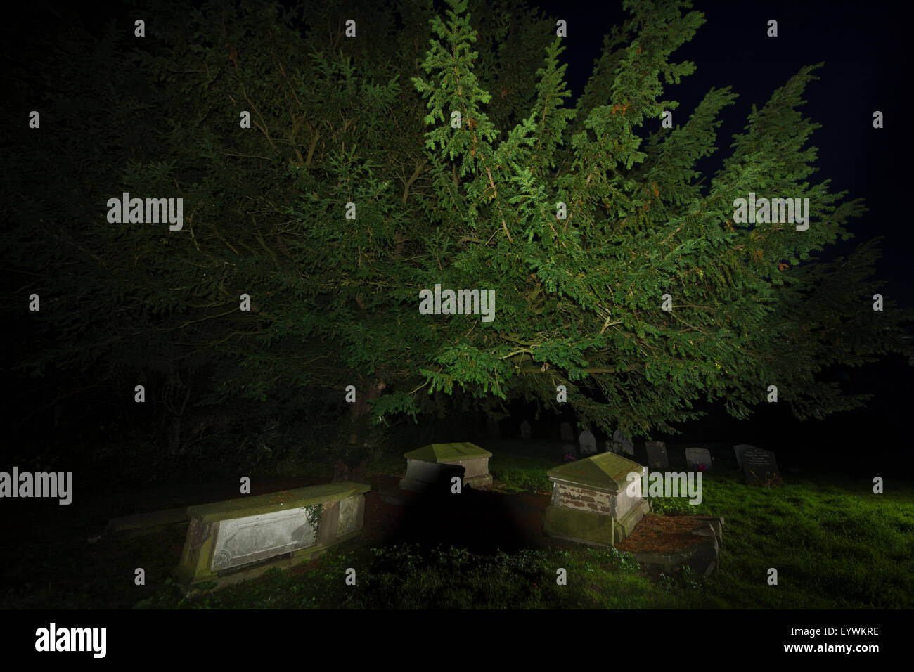 Church yard graveyard graves yew tree night Stock Photo - Alamy