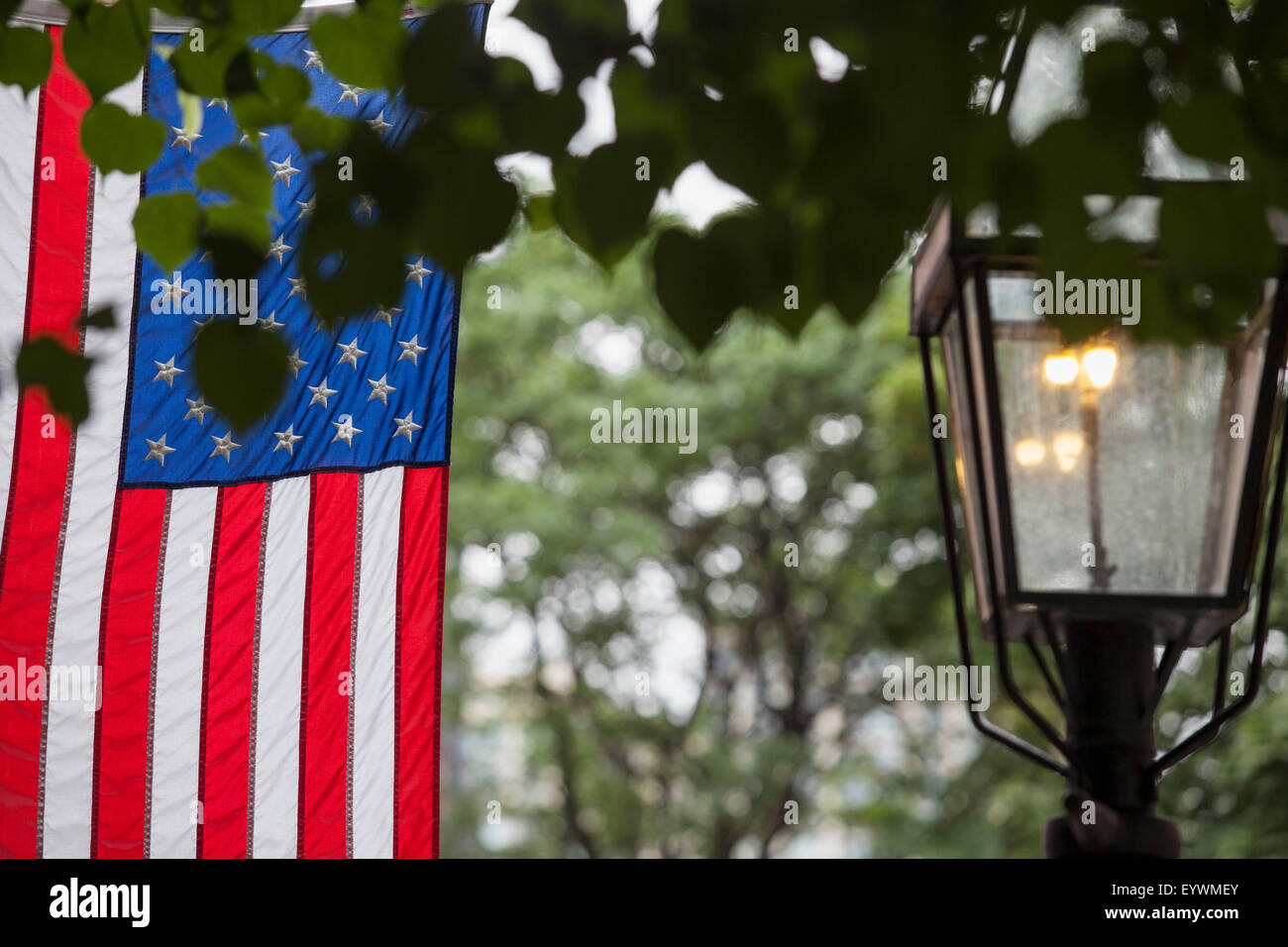 American flag tree hi-res stock photography and images - Alamy