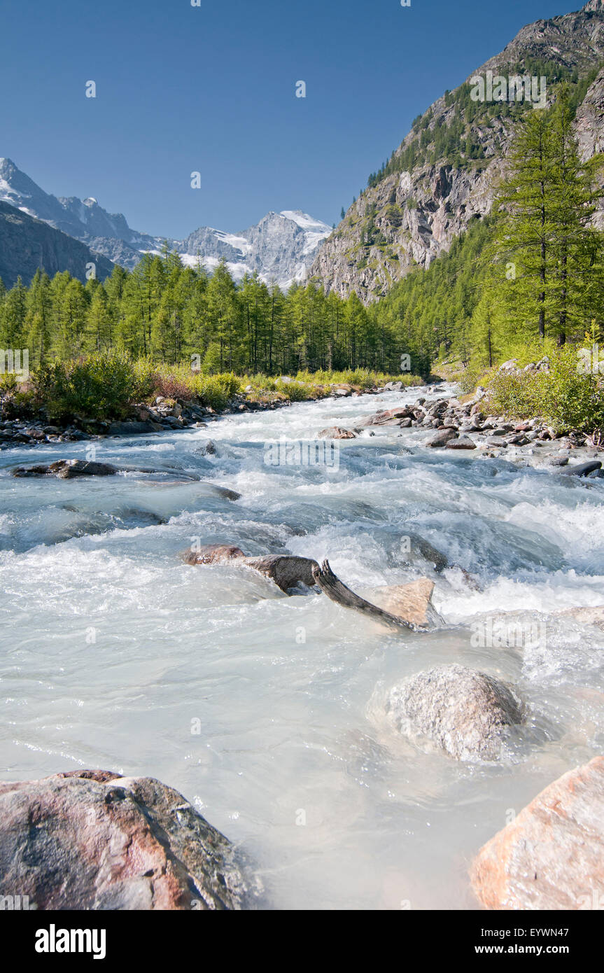 River in Valnontey. Gran Paradiso National Park. Aosta valley. Graian ...