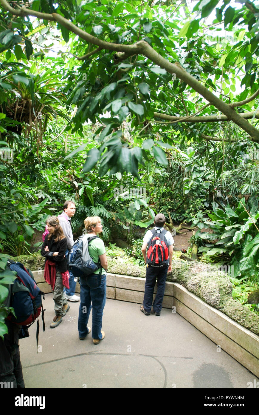 Zurich, Switzerland - 22 August 2006: People observing exotic animals ...