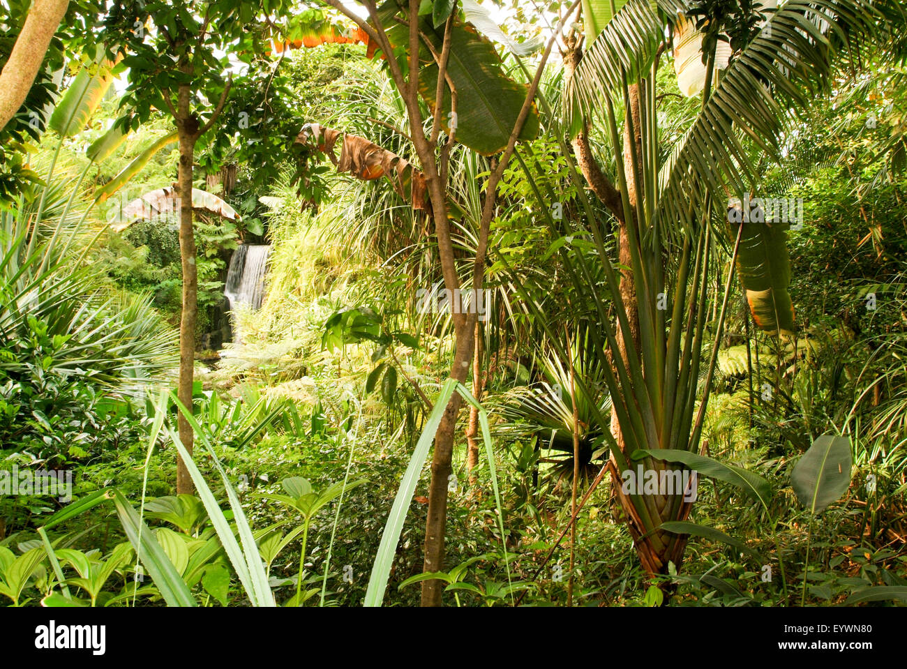 The Masoala hall (built 2003) in the Zoo Zurich Stock Photo - Alamy