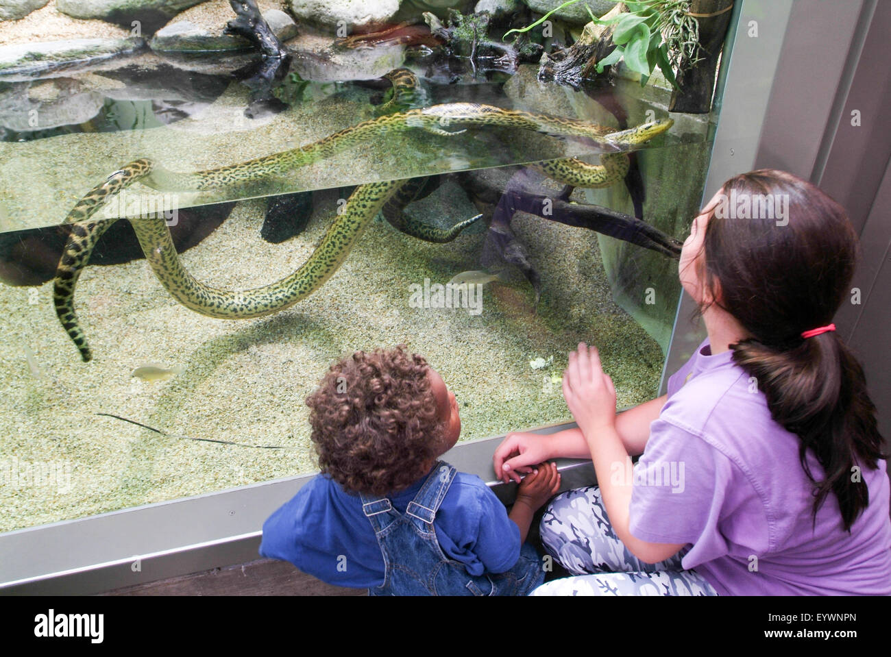 Snake zoo hi-res stock photography and images - Alamy