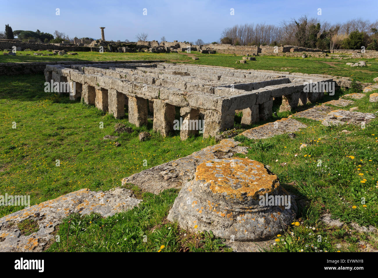 Gymnasium with swimming pool, Paestum, Ancient Greek archaeological ...