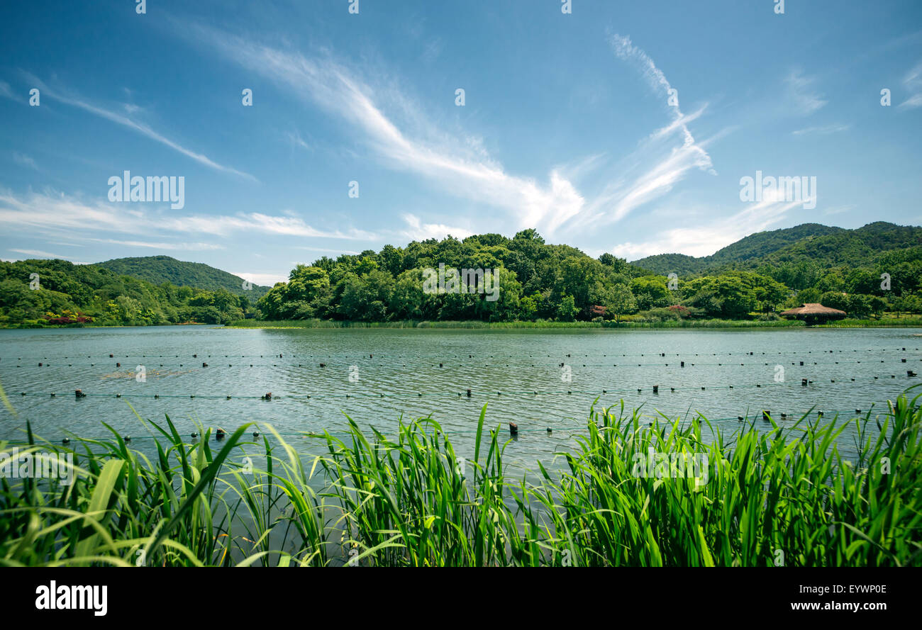 Green landscape with lake and lush hills in Hangzhou, Zhejiang, China ...