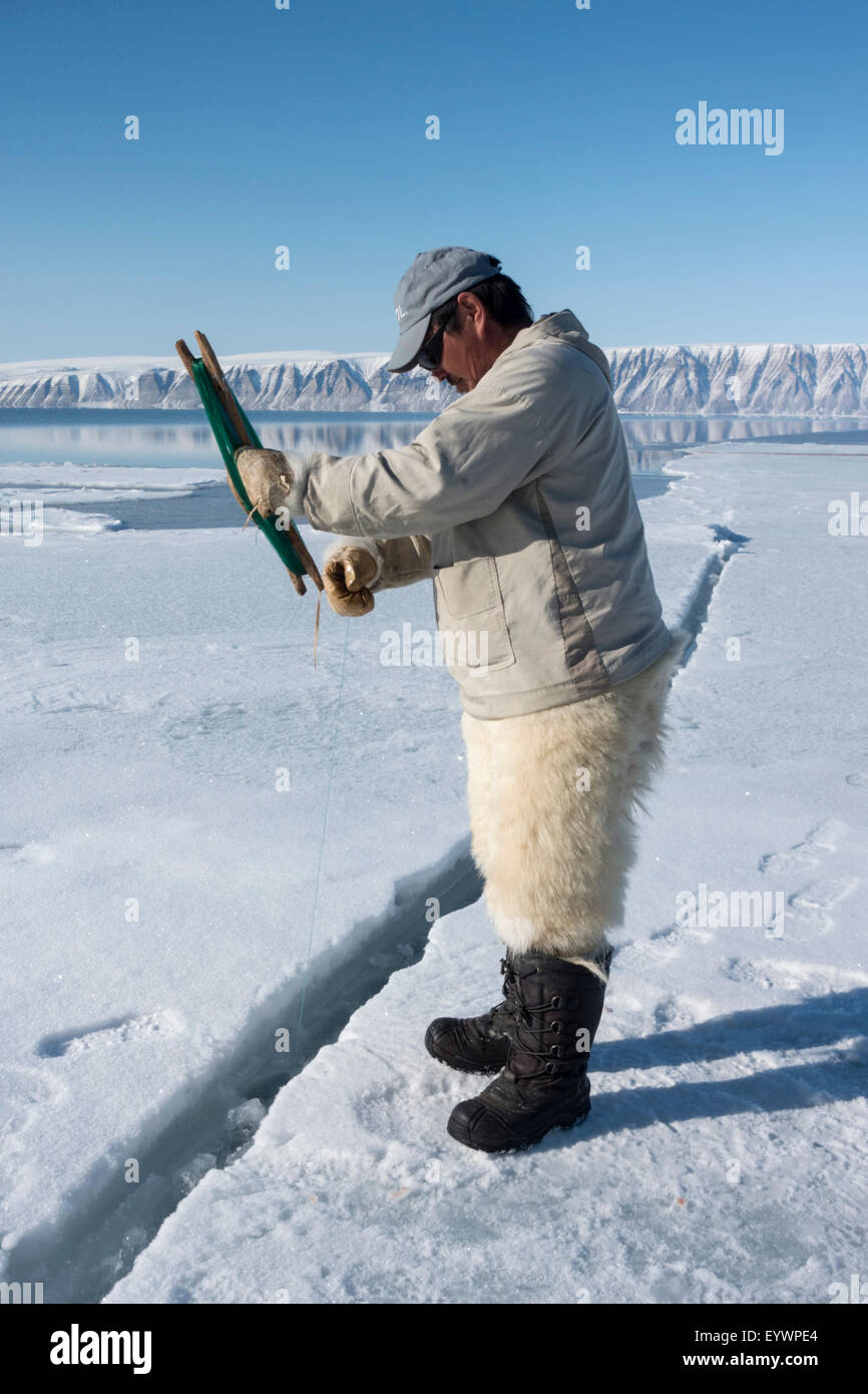 Inuit hunter line fishing at the floe edge for Arctic cod, sculpin and ...