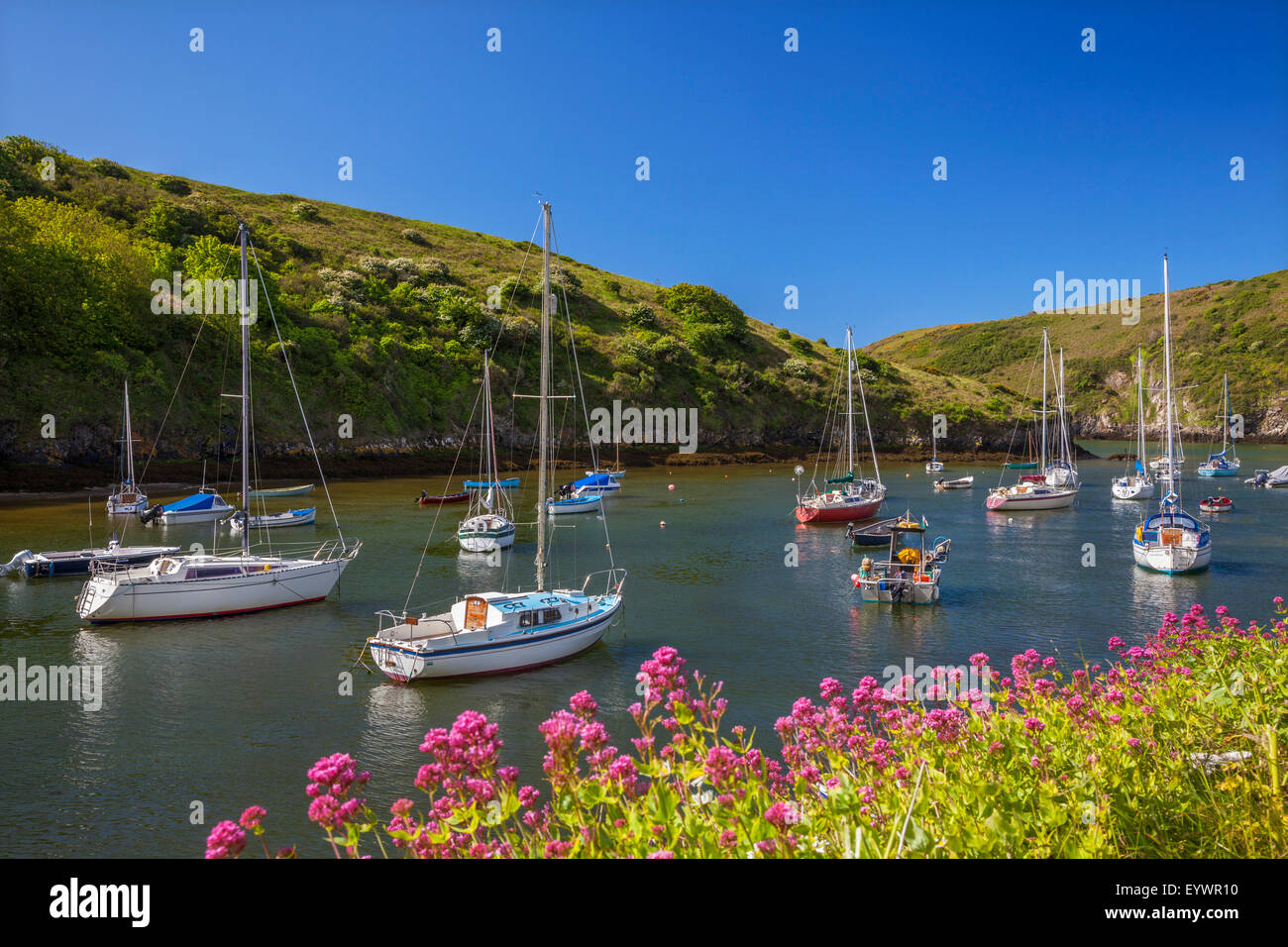 Solva Harbour, Pembrokeshire, Wales, United Kingdom, Europe Stock Photo ...