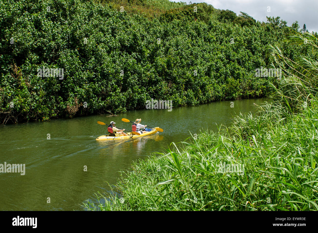Wailua river kayaking hi-res stock photography and images - Alamy